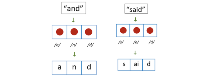 How phonemic awareness helps words become sight words - Teach. Learn. Grow.