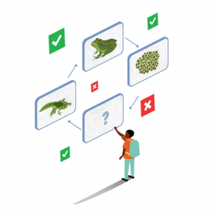 The MAP Suite - NWEA